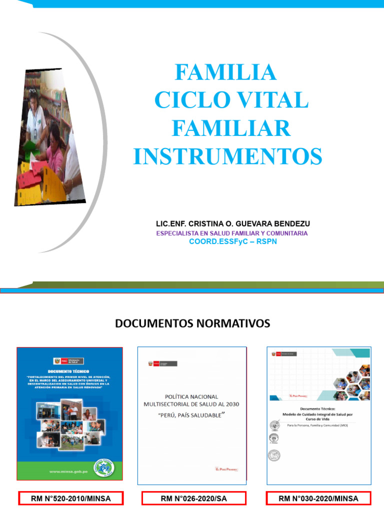 Familia Funciones e Instrumentos | PDF | Familia