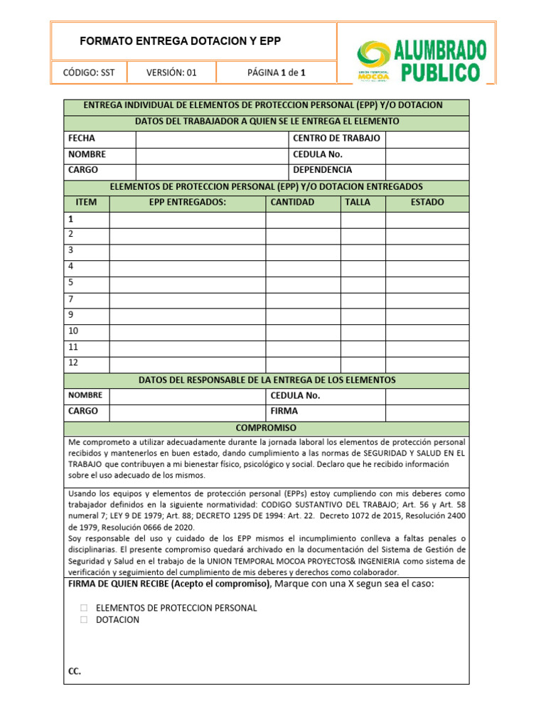 Formato Entrega de Epp 2024 | PDF