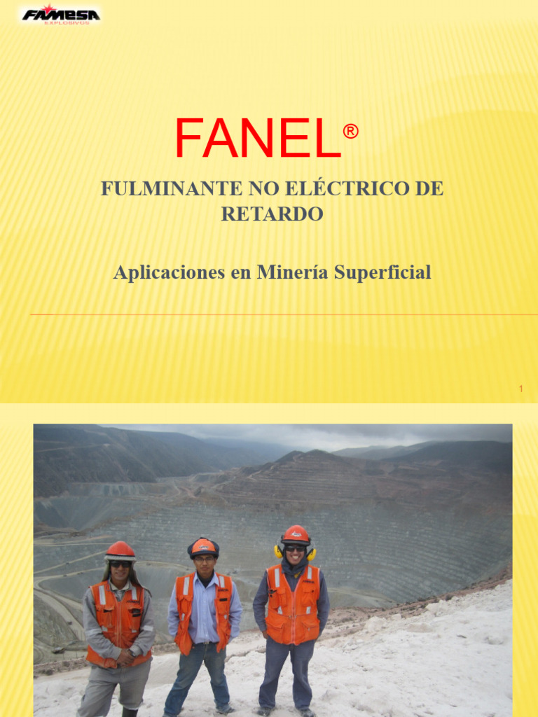 Fanel en Minería Superficial | PDF