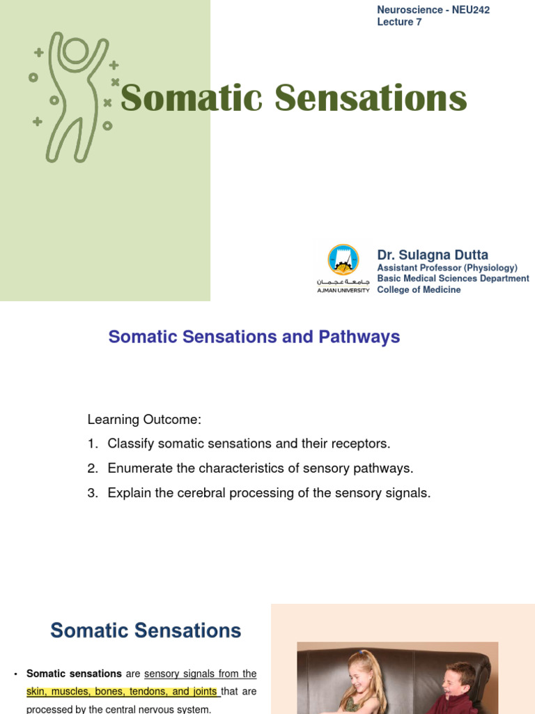 Lecture 8 - Somatic Sensations | PDF | Somatosensory System | Stimulus (Physiology)