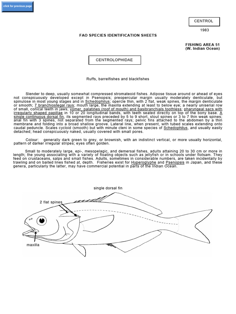 Fao Species Identification Sheets Fishing Area 51 (W. Indian Ocean ...