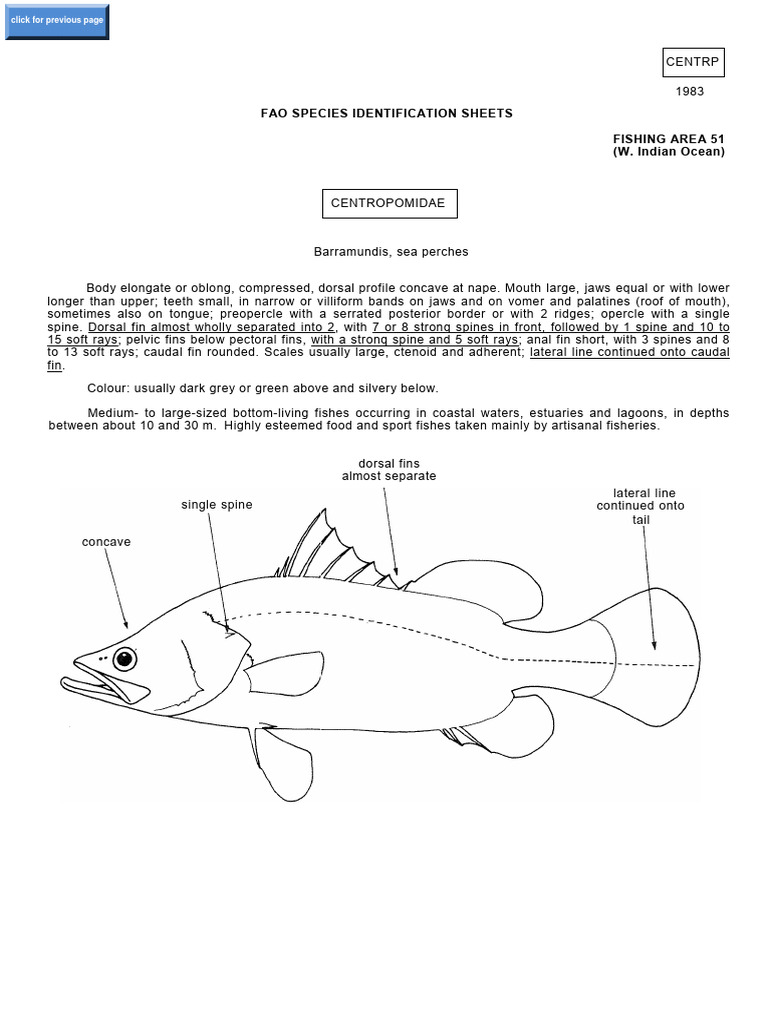 Fao Species Identification Sheets Fishing Area 51 (W. Indian Ocean) | PDF