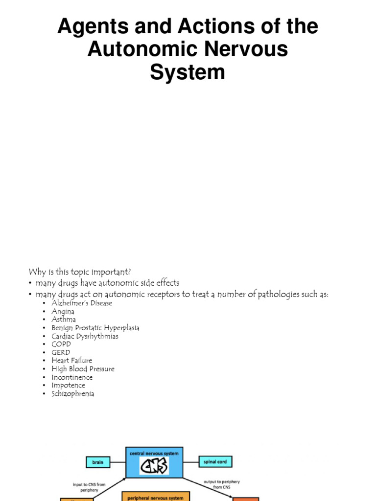 Autonomic Nervous System Agents | PDF | Acetylcholine | Autonomic Nervous System