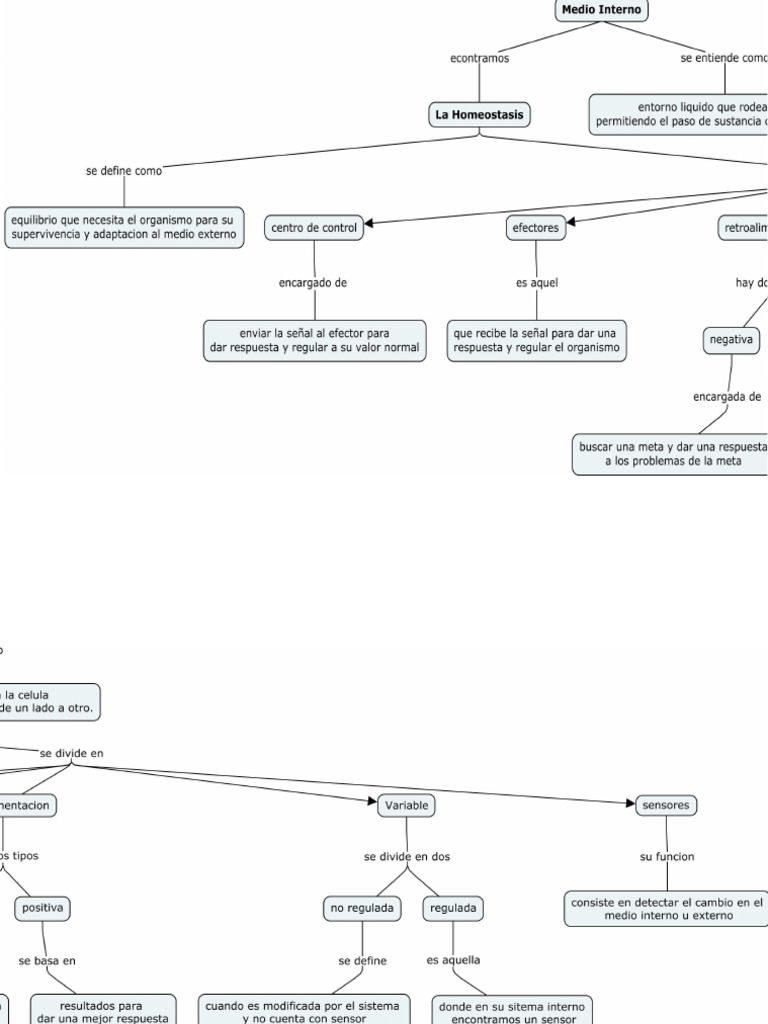 Mapa Conceptual Fisiologia | PDF