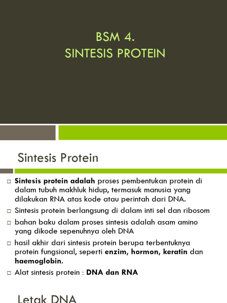 Osn - BSM 4 Sintesis Protein | PDF