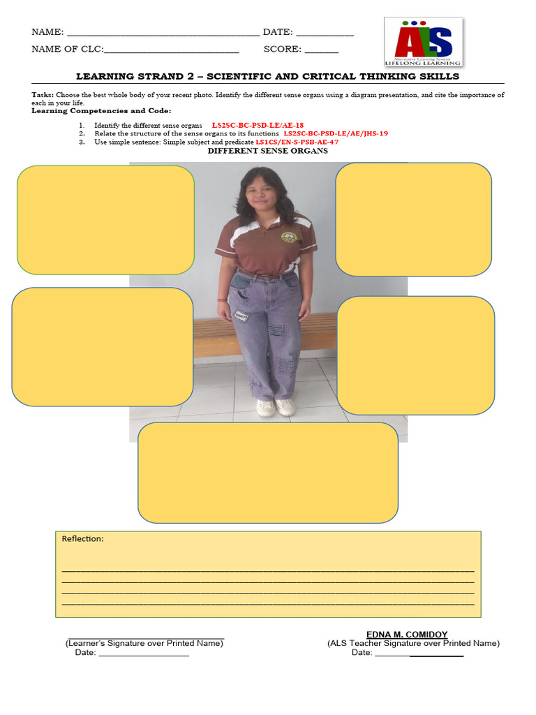 Las LS2 Work Sample | PDF