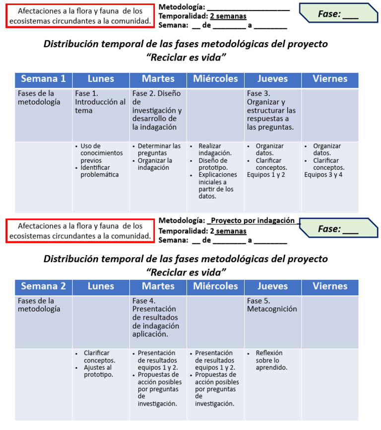 Fases Proyecto STEAM | PDF