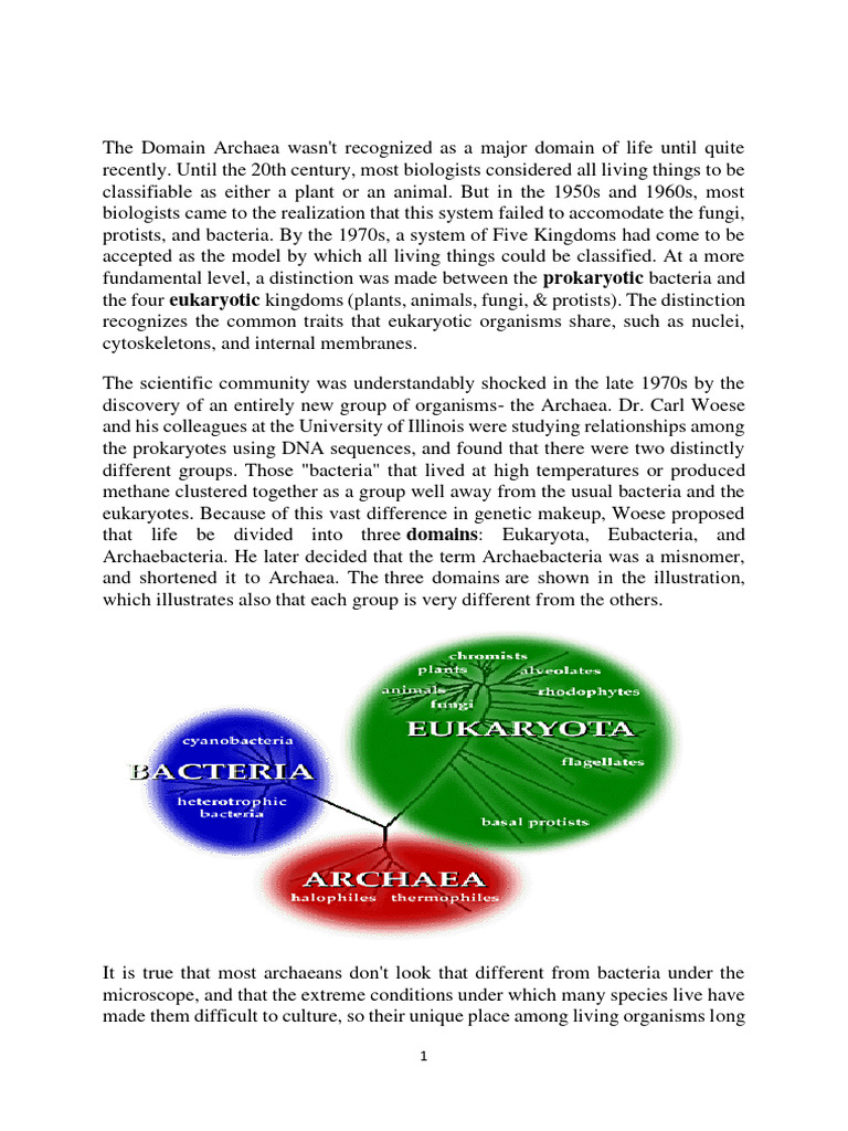 Archaea | PDF | Archaea | Cell (Biology)