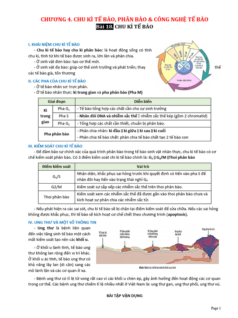 BÀI 18. CHU KỲ TẾ BÀO | PDF