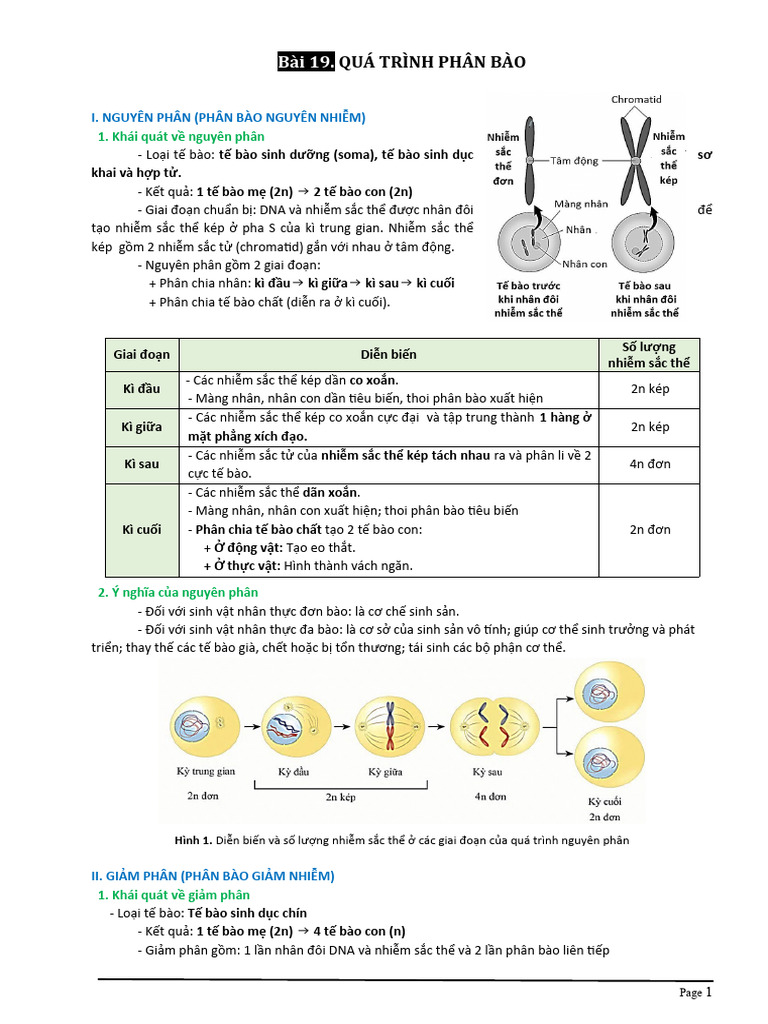 đề cương ôn thi ghk 1 | PDF