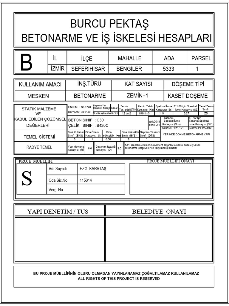 5333-1 Parsel Hesap Raporu Kapaği (Burcu Pektaş) | PDF