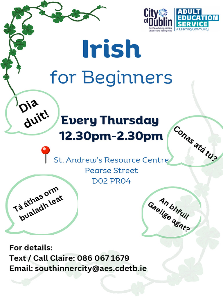 Irish For Beginners 2024 | PDF