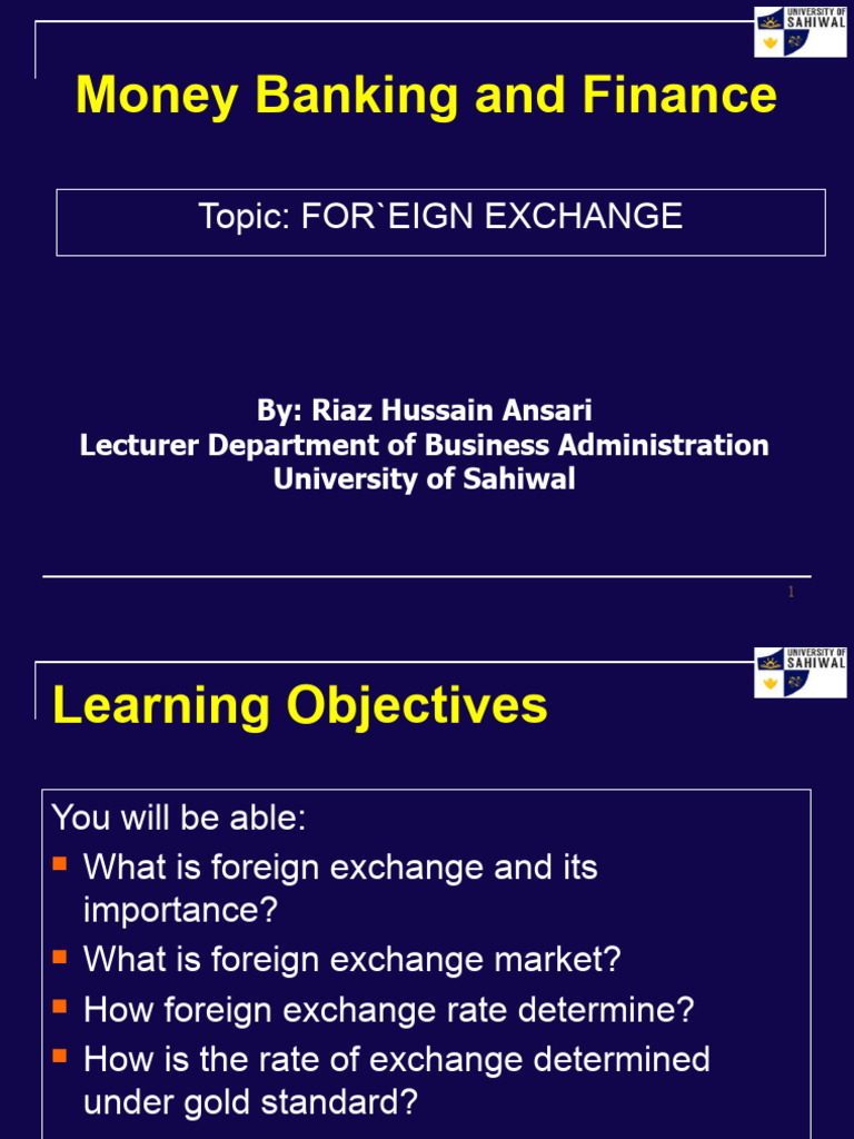 Understanding Foreign Exchange Basics | PDF | Exchange Rate | Balance ...