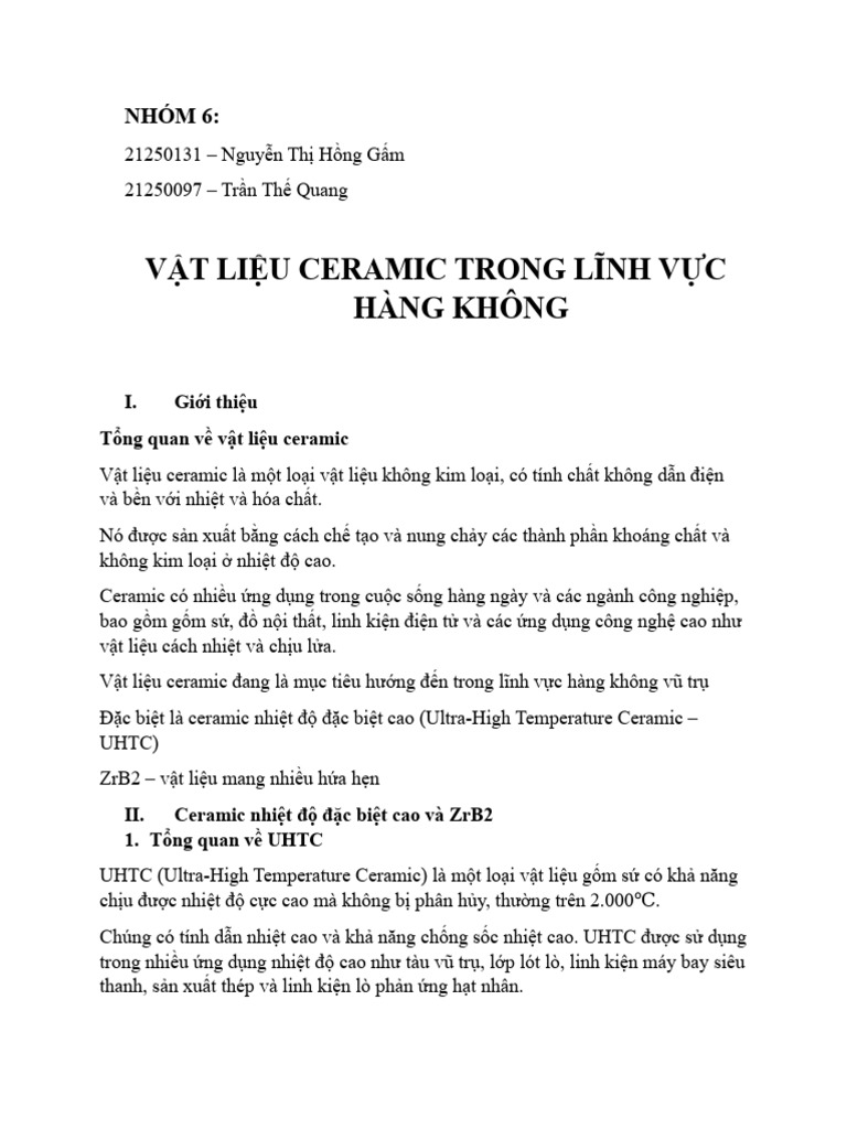 Nhóm 6-Hàng Không | PDF