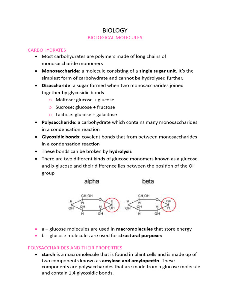 Topic 1 Biological Molecules Pdf Dna Enzyme