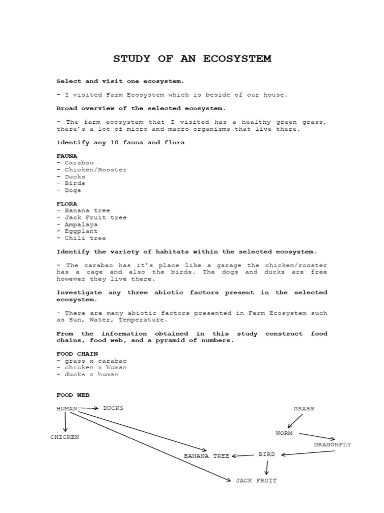 Study of An Ecosystem | PDF | Science & Mathematics