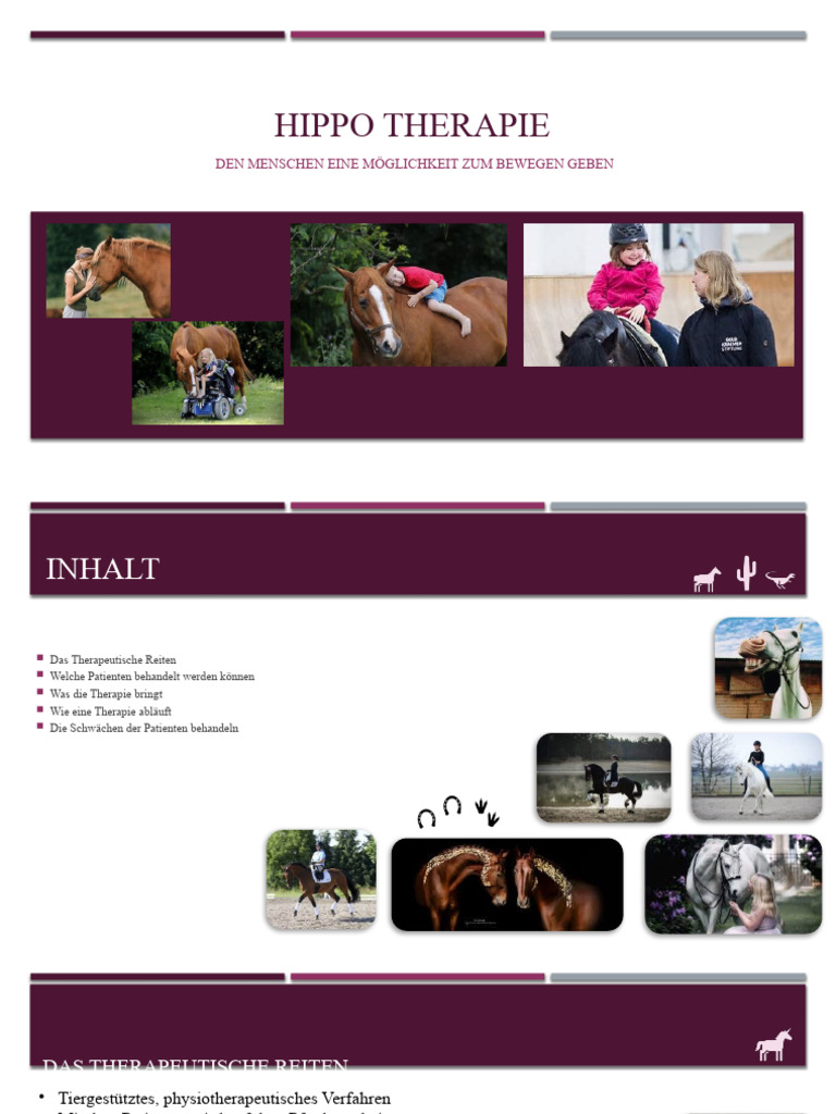 Hippo Therapie Power Point | PDF