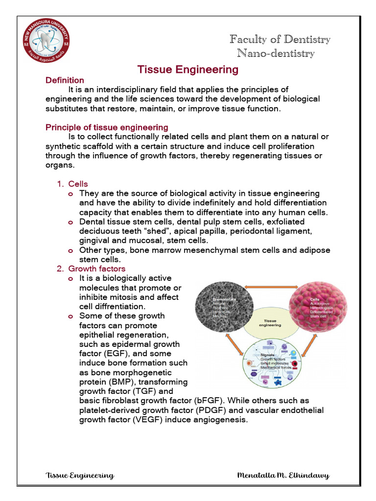 Tissue Engineering | PDF | Tissue Engineering | Extracellular Matrix