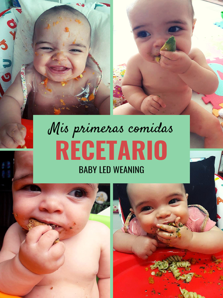 Recetario de Primeras Comidas para Bebés | PDF | Cocinando | Carne