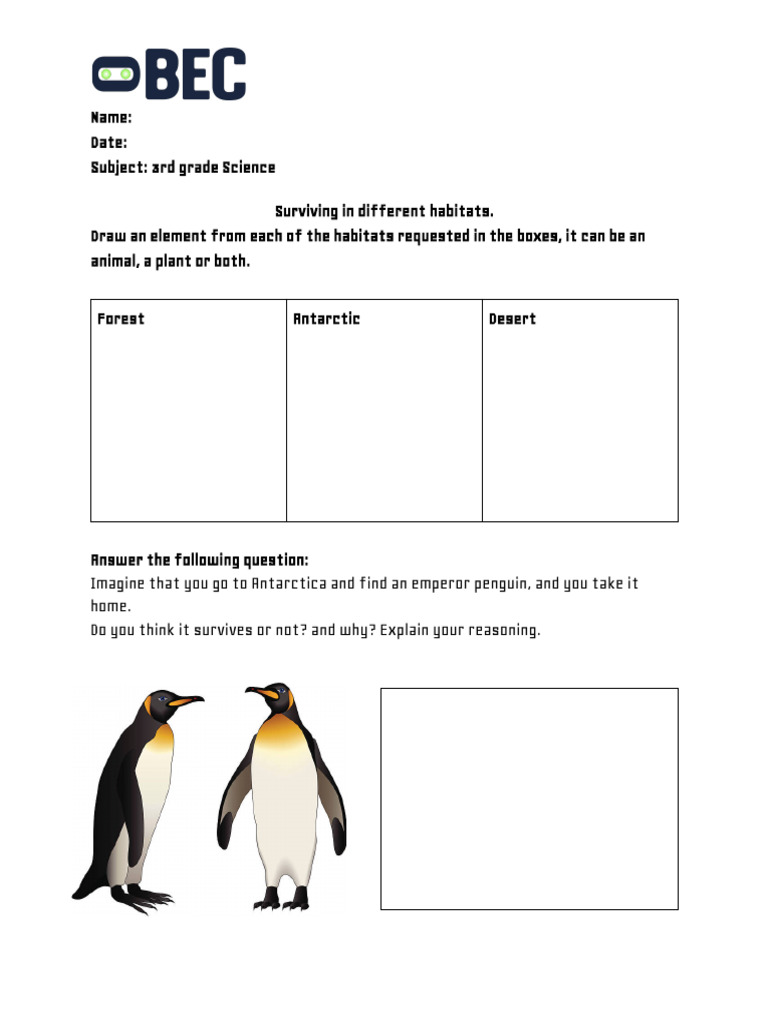 3rd Grade Science: Habitats & Survival | PDF