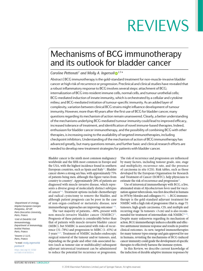Mechanisms of BCG Immunotherapy and Its Outlook For Bladder Cancer | PDF | Immunotherapy ...