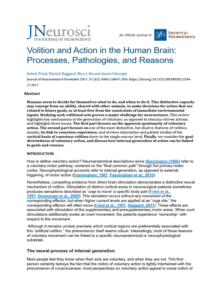 Volition and Action in The Human Brain | PDF | Prefrontal Cortex | Consciousness