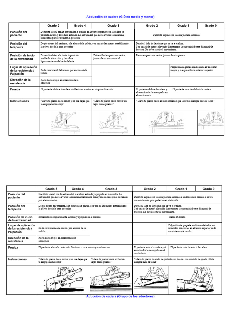 Pruebas de Valoración de La Fuerza Muscular | PDF