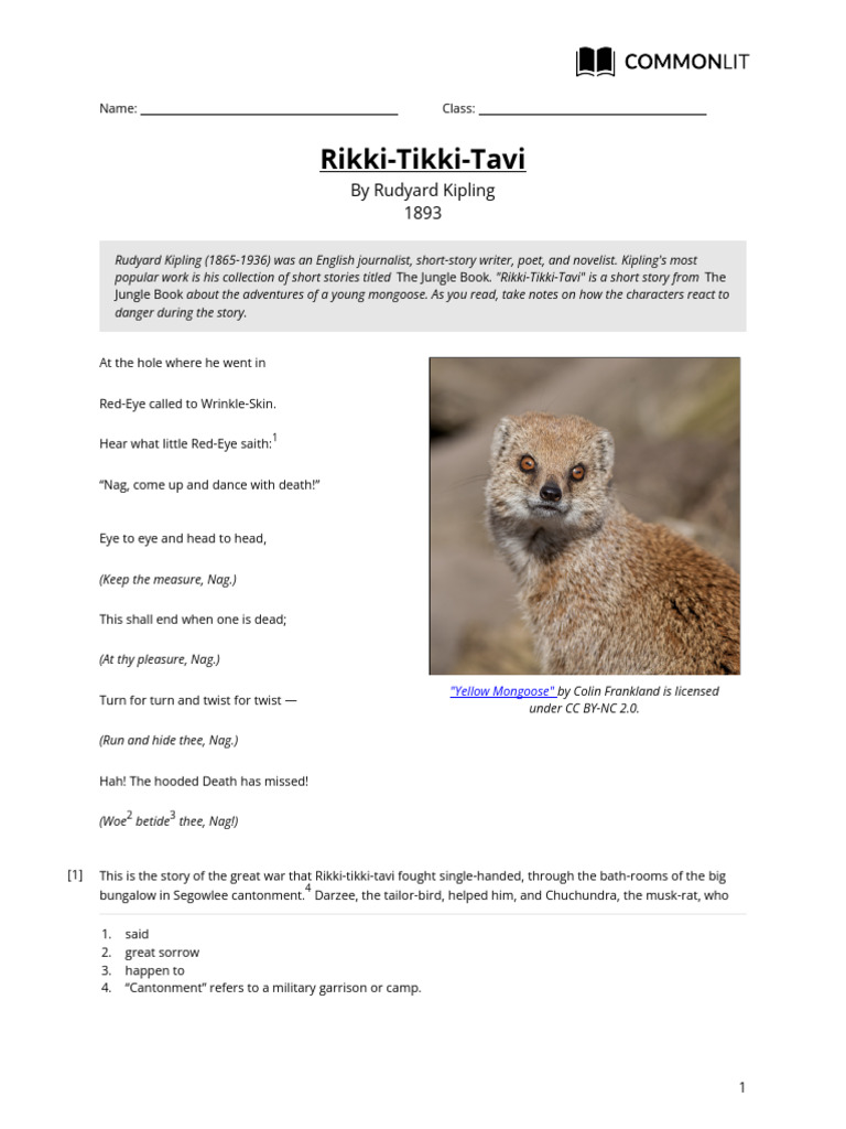 Rikki-Tikki-Tavi Teacher | PDF