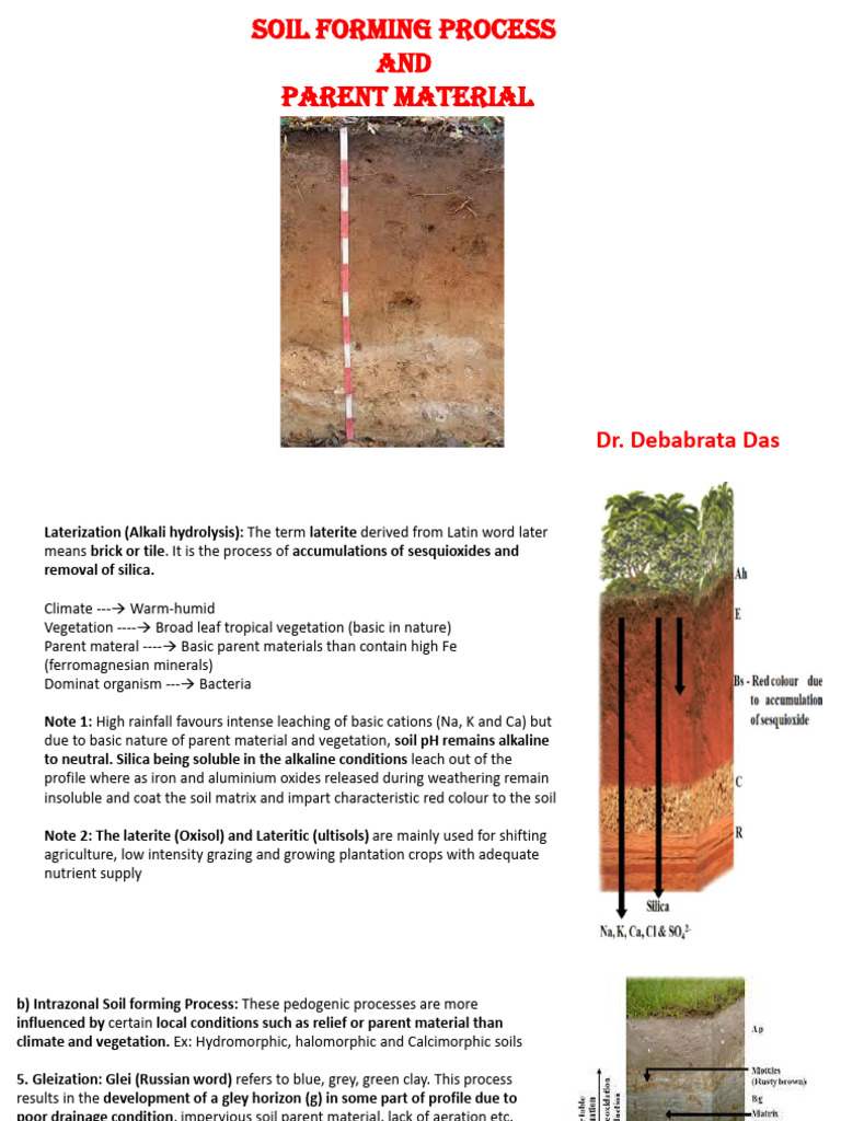 L8 - Soil Forming Process | PDF | Soil | Clay