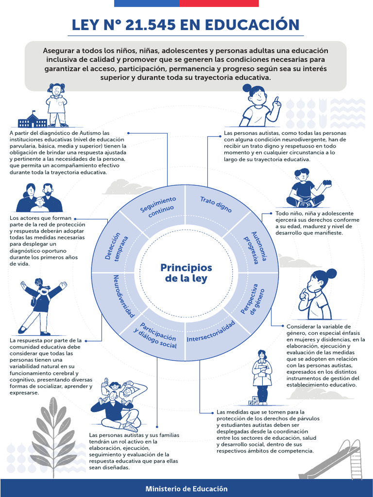 Infografía Ley de Autismo Mineduc | PDF | Espectro autista