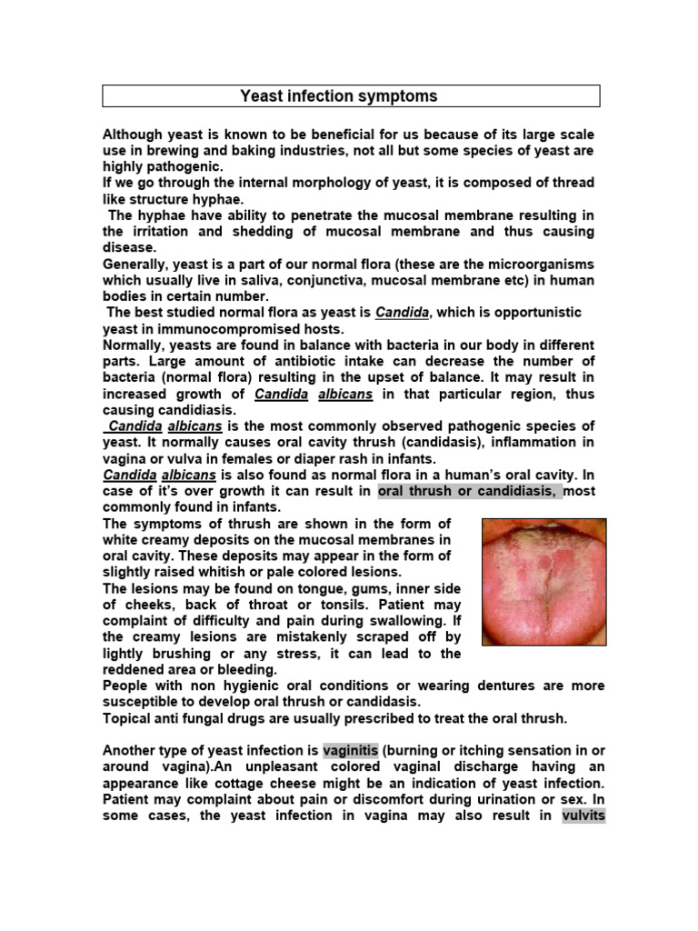 Yeast Infection Symptom1 | PDF | Candidiasis | Clinical Medicine