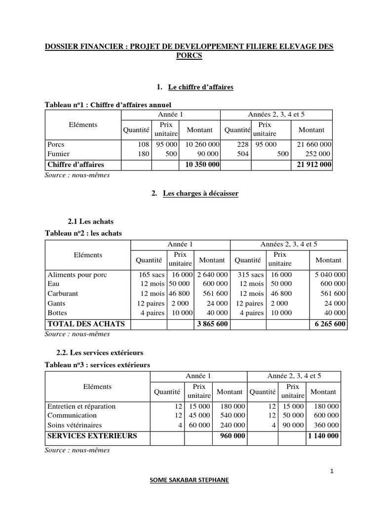 Canevas Dossier Financier-1 | PDF