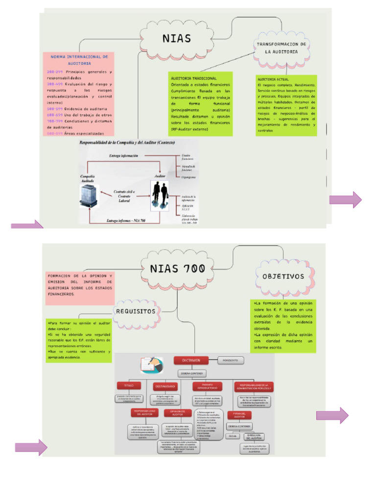 Mapa Conceptual Niif | PDF