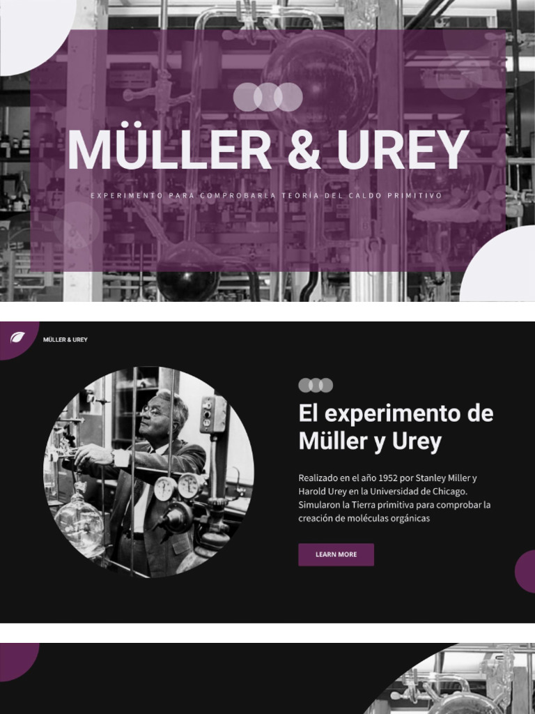 Presentación Müller Urey | PDF