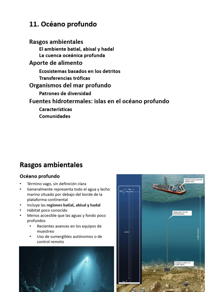 Océano Profundo | PDF | Ventilación hidrotermal | Mar