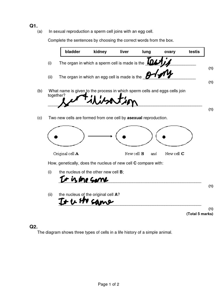 L1 Extension Question | PDF | Sexual Reproduction | Cell (Biology)