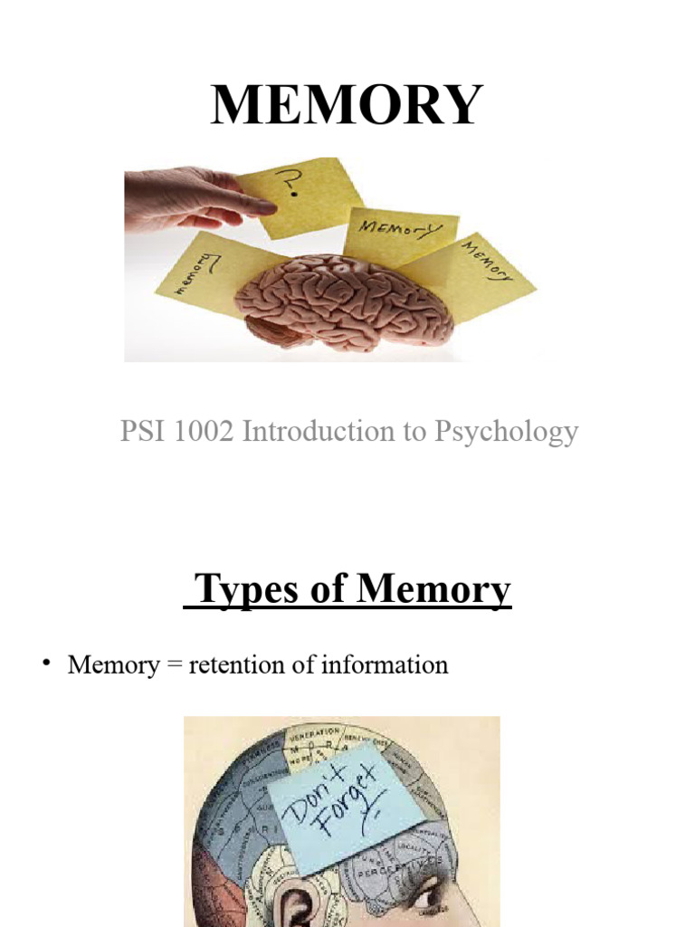 Chapter 7. Memory | PDF | Memory | Recall (Memory)