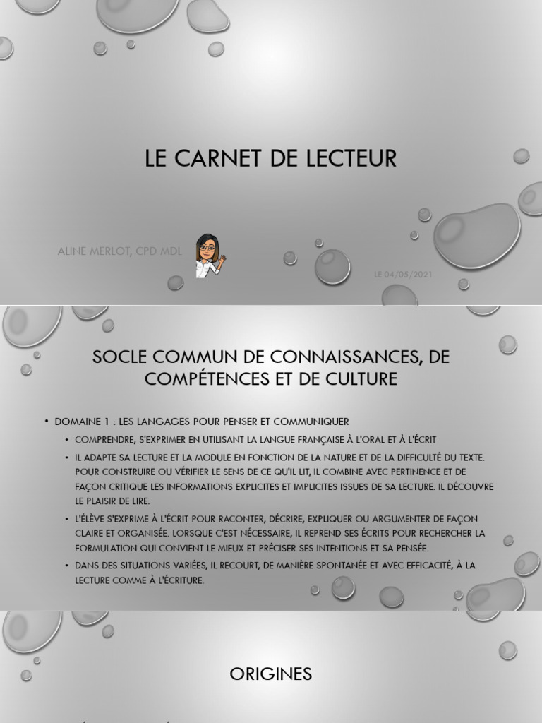 Le Carnet de Lecteur | PDF