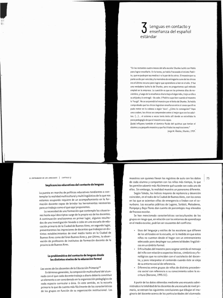 Martinez El Entramado de Los Lenguajes Cap3 | PDF | Enseñando | Conocimiento