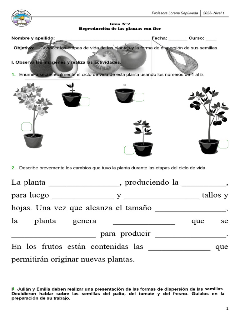 Reproducción y Ciclo de Vida de Plantas | PDF | Fruta | Semilla