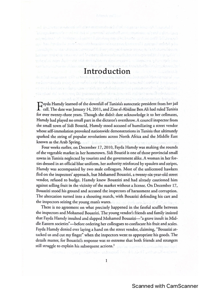 The Arab Spring | PDF