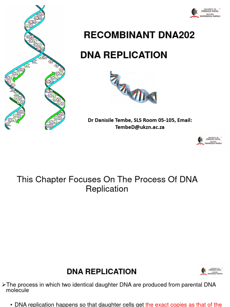 DNA Replication | PDF | Dna Replication | Dna