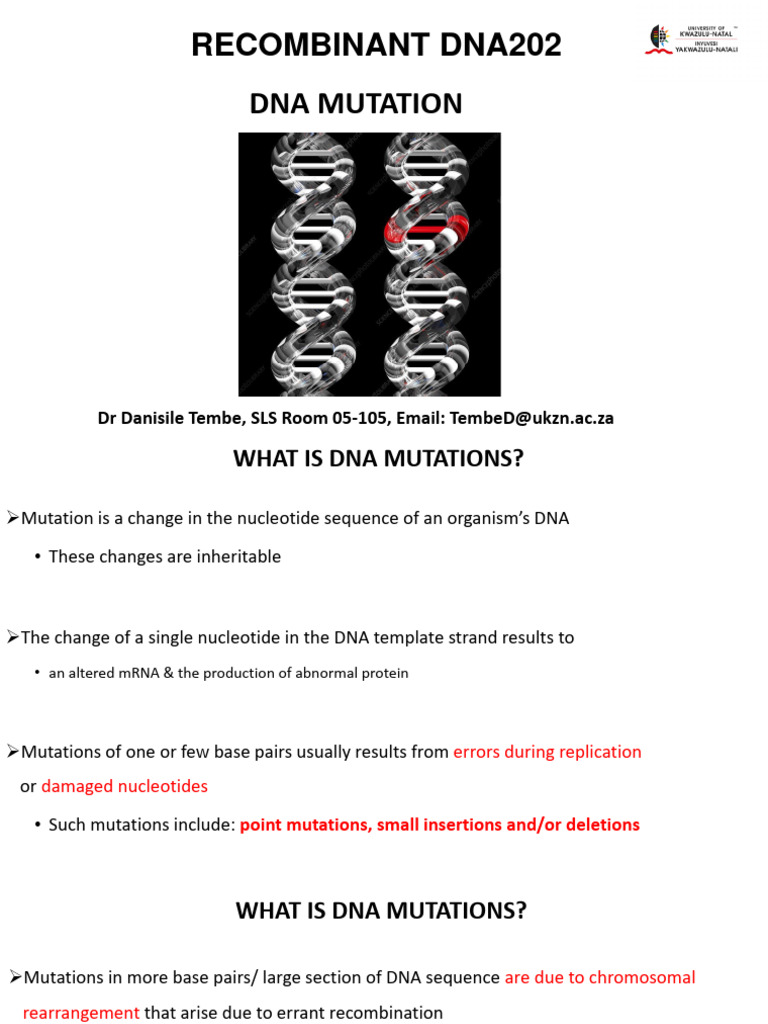 DNA Mutation | PDF | Point Mutation | Mutation