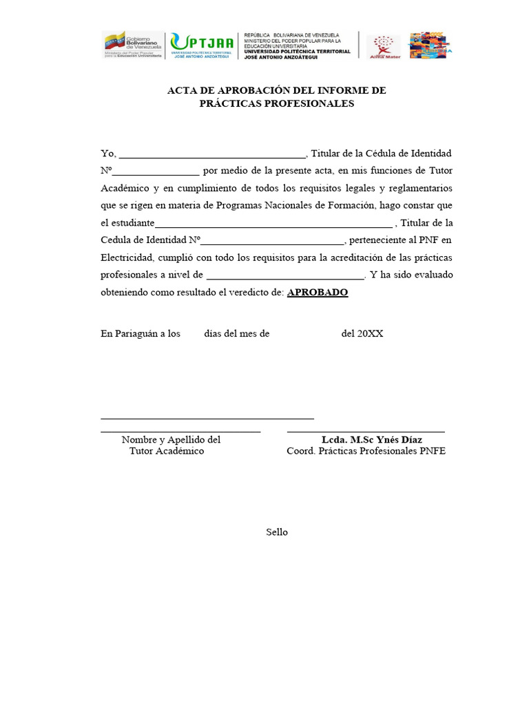 478192481-Planillas Eval. Pract.profesionales PNFE-1 | PDF