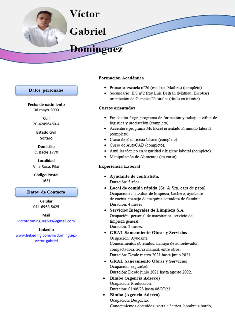 Cv Actualizado Victor Dominguez | PDF