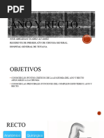 Anatomía Anorrectal y Fisiología | PDF | Recto | Pelvis