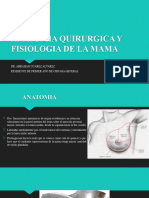 Anatomía y Función de la Mama Femenina | PDF | Pecho | Anatomía humana