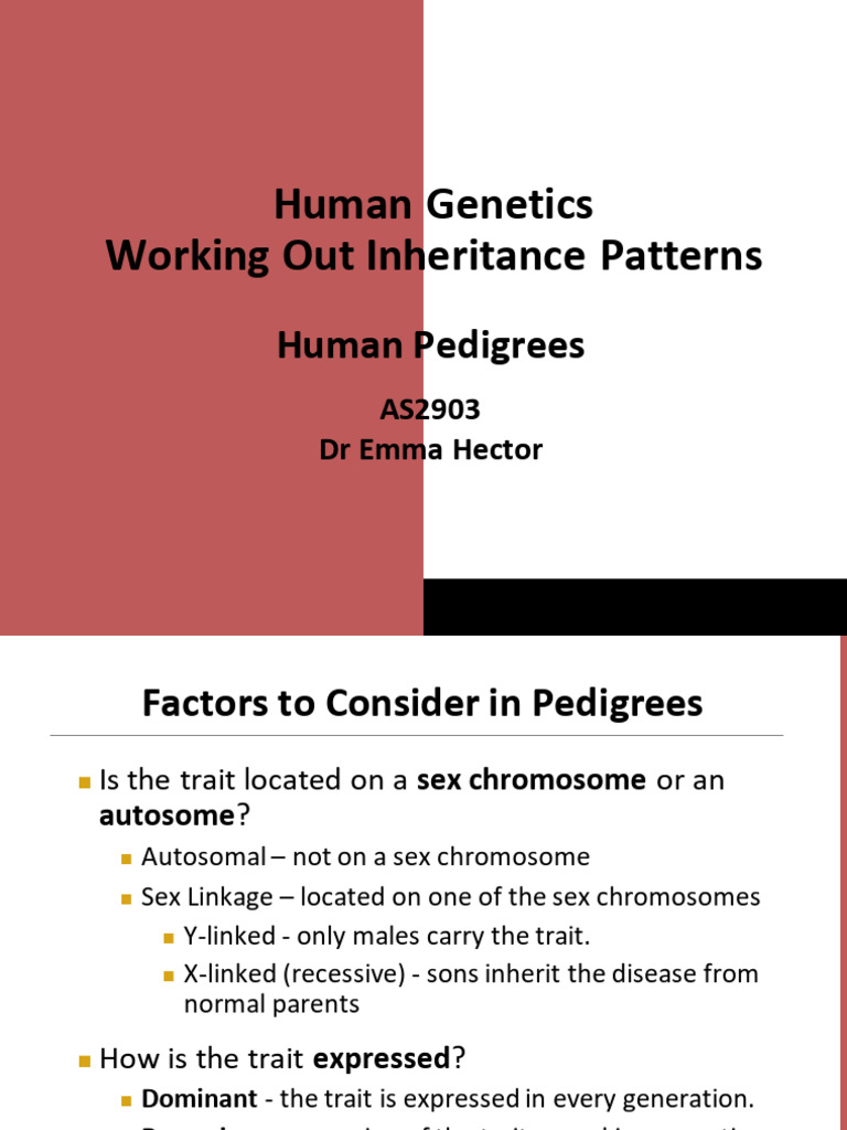 Lecture 5 - Human Pedigrees | PDF | Dominance (Genetics) | Genotype