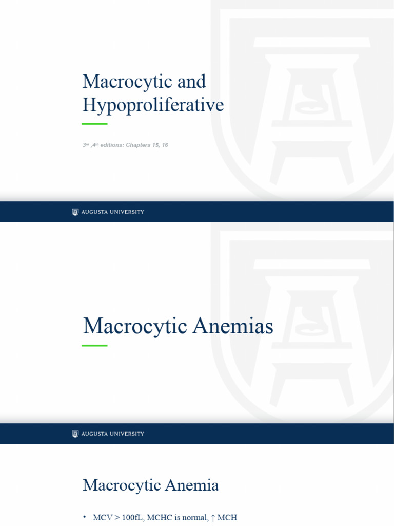 Macrocytic and Hypoproliferative Disorders | PDF | Anemia | Vitamin B12