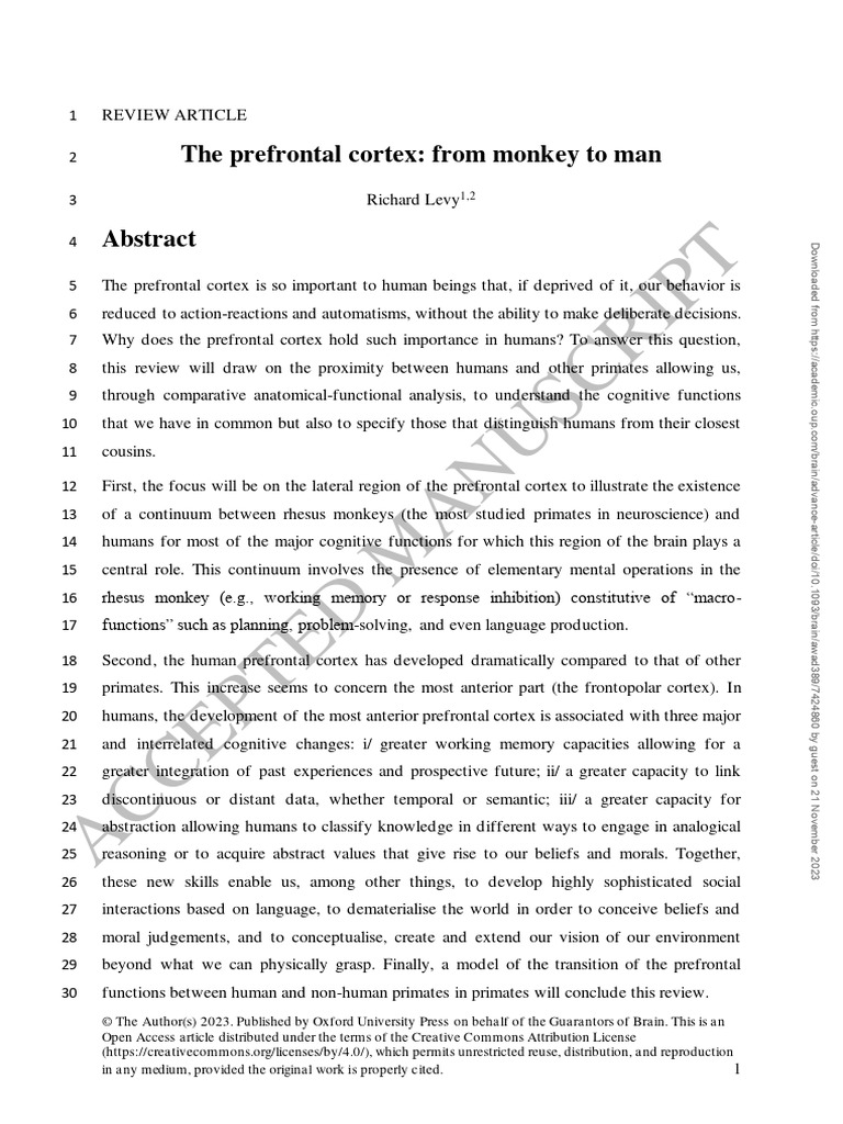 Pre Frontal Cortex | PDF | Cerebral Cortex | Prefrontal Cortex